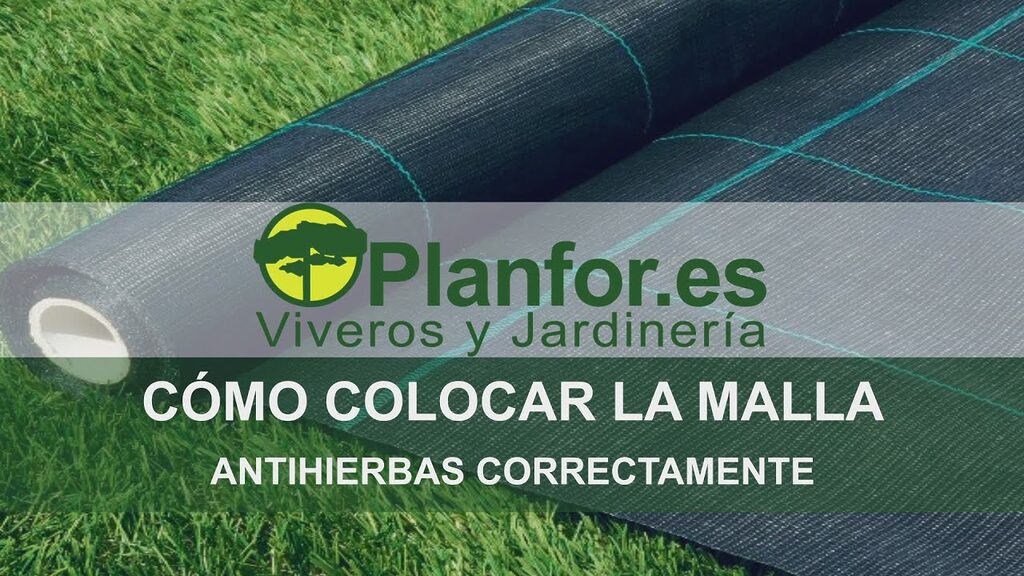 Malla Antihierbas: La mejor opción para mantener tus jardines y ...