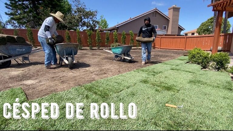 Pasto natural para jardines: Encuentra las mejores opciones en nuestro ...