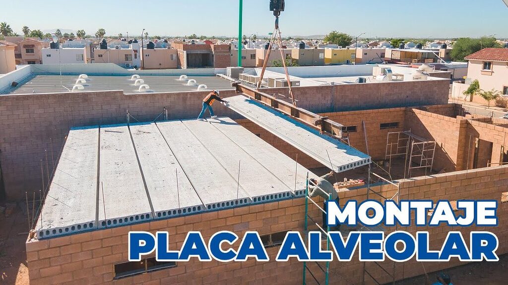 Placa alveolar: todo lo que necesitas saber sobre sus características ...